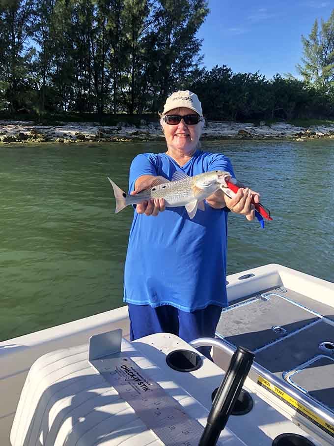 When the fish are this cooperative, you start wondering if they're just being polite to visitors.