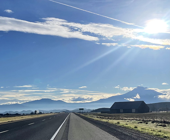 That highway stretches toward Mount Shasta like a scene from every road trip movie you've ever loved watching.