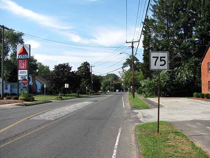 Wide streets and mature trees create that small-town vibe where everyone waves and nobody's in too much hurry.