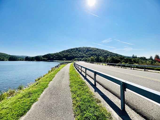 This lakeside path stretches endlessly under blue skies, perfect for a peaceful walk beside shimmering water.
