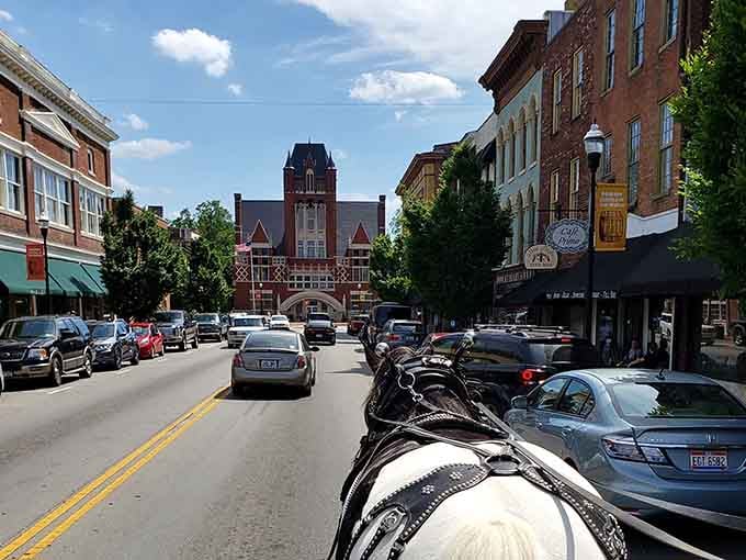 That carriage-eye view down Main Street shows how history and modern life share the road quite nicely here.