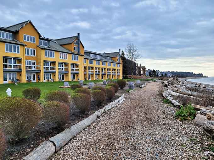 Blaine's cheerful yellow buildings lining the shore like a sunny welcome committee greeting visitors from land and sea.