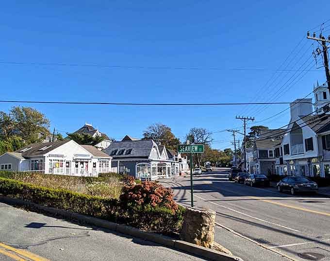 Charming storefronts and flowering planters create the kind of Main Street America that Norman Rockwell would paint.