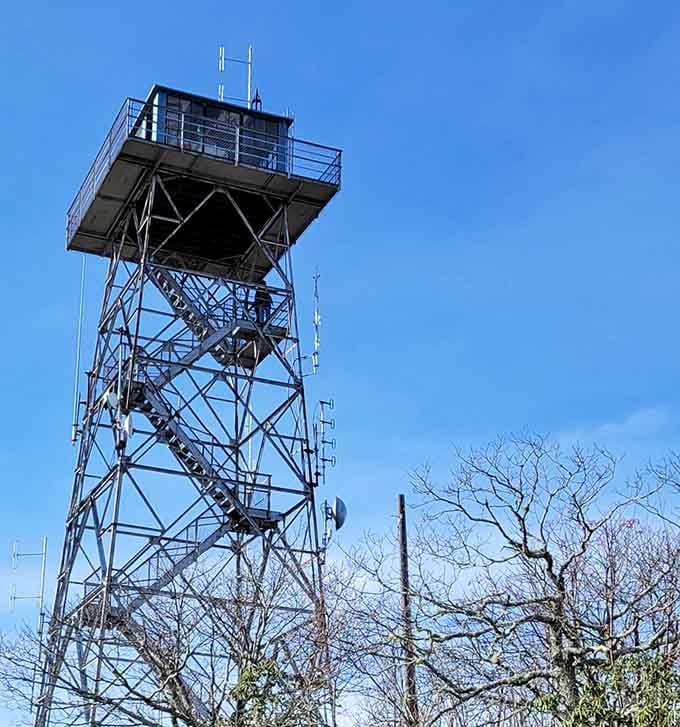 The metal tower climbs skyward like a giant's erector set, promising views that'll make the climb worthwhile.