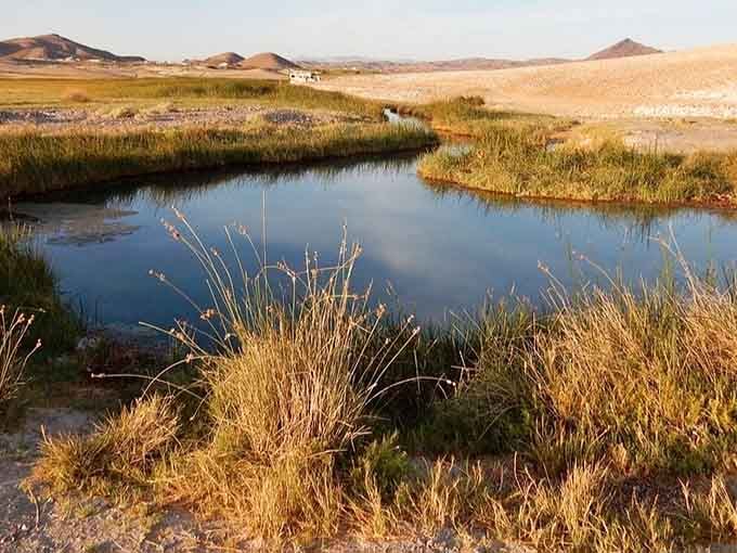 Golden grasses frame this desert oasis like nature's own picture frame, proving beauty thrives in unexpected places.