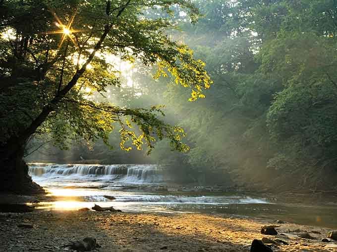 Morning mist rises over cascading waterfalls, creating magical light that photographers dream about capturing on film.