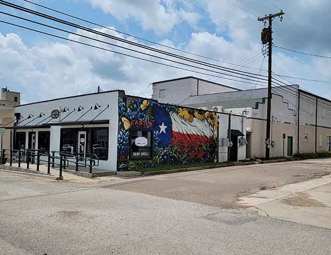 This vibrant mural celebrates Texas pride with bluebonnets and the Lone Star flag painted large enough to see from space.