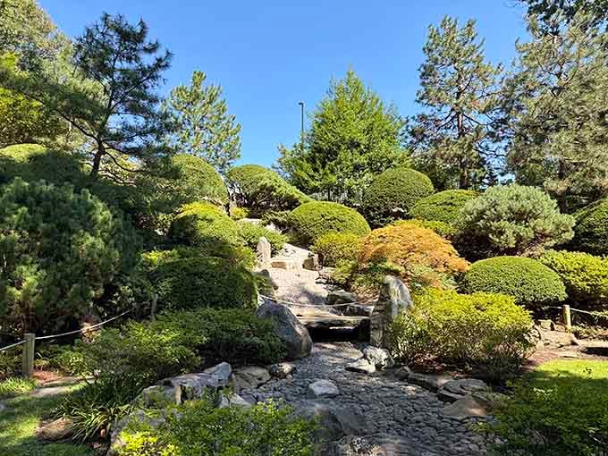 Sculpted evergreens and maples create layers of green that shift from emerald to sage in this tranquil retreat.