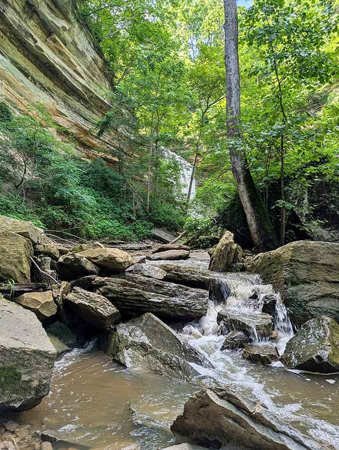 Moss-covered boulders frame this intimate waterfall moment where sunlight dances through the canopy onto rushing water below.
