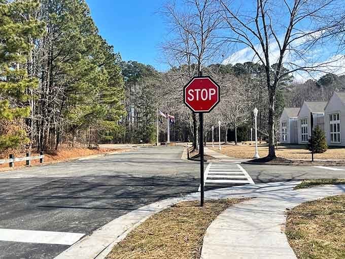 That stop sign marks quiet residential streets where kids can still play outside without constant parental worry.