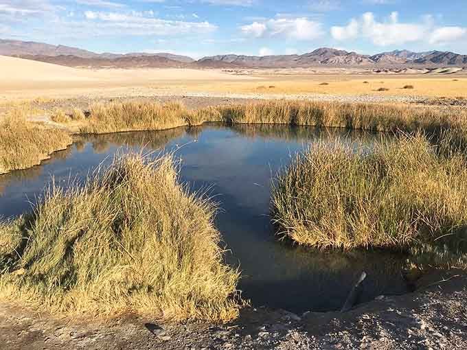 Mountains stand guard over this remote desert spring where silence sounds better than any symphony ever could.