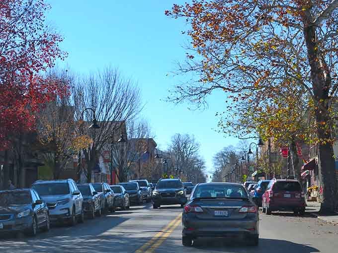 Fall foliage frames neighbors taking their daily constitutional, proving some traditions never go out of style no matter the decade.