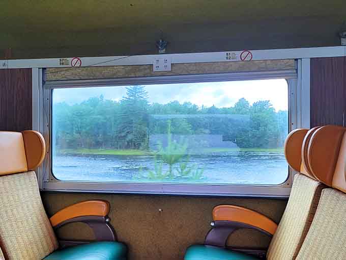 Your window seat becomes a private viewing box for nature's greatest show along the tracks.