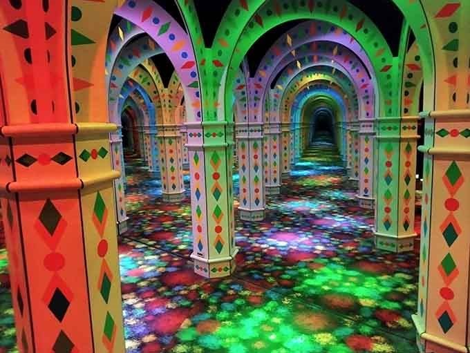 The path ahead looks clear until you realize you're staring at your own confused reflection again.