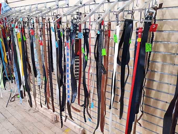 Belts hanging like a leather curtain, ready to cinch any deal and keep your pants up simultaneously.