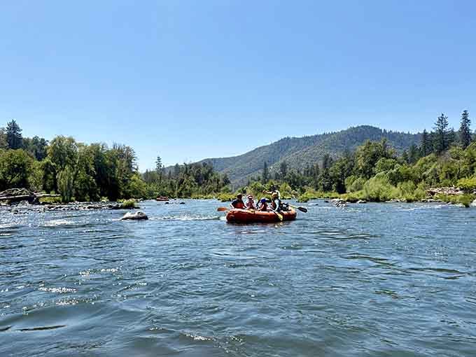 The Rogue River delivers adventure with scenery so stunning you'll forget you're technically exercising.