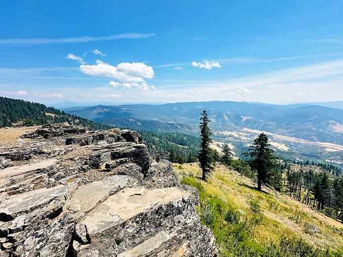 Grizzly Peak rewards the climb with views that'll make your Instagram followers question why they still live in cities.