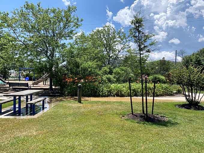 Green space for picnics and people-watching, because sometimes the best entertainment is absolutely free and simple.
