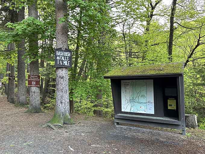 Trail maps and information await, because even nature lovers appreciate knowing where they're actually going.