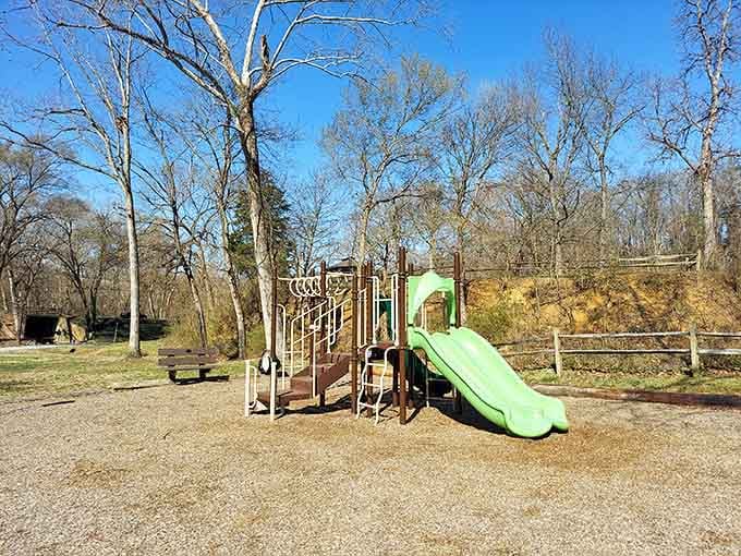 That bright green slide has launched countless kids into giggles and parents into nostalgic sighs about simpler times.