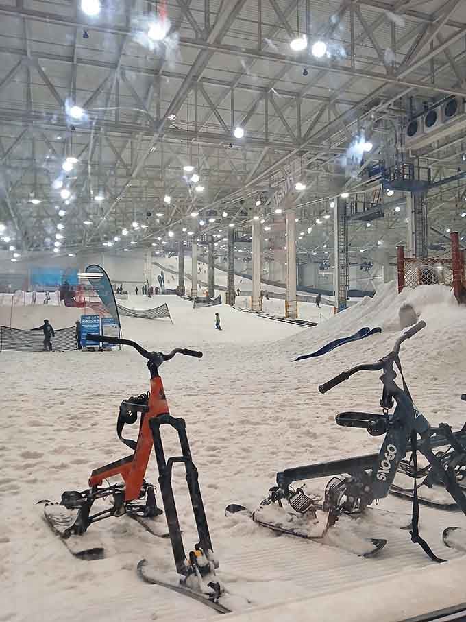 Sno-Go bikes let you experience snow in yet another creative way&mdash;this place really maximizes every square foot.