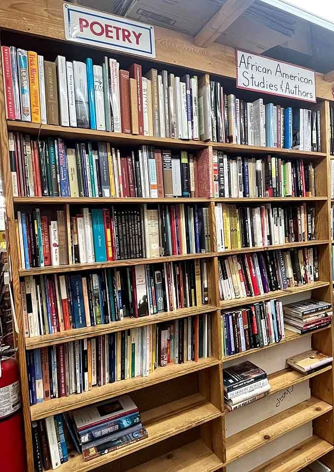 Poetry and African American Studies get dedicated shelf space, celebrating voices that deserve to be heard and remembered.