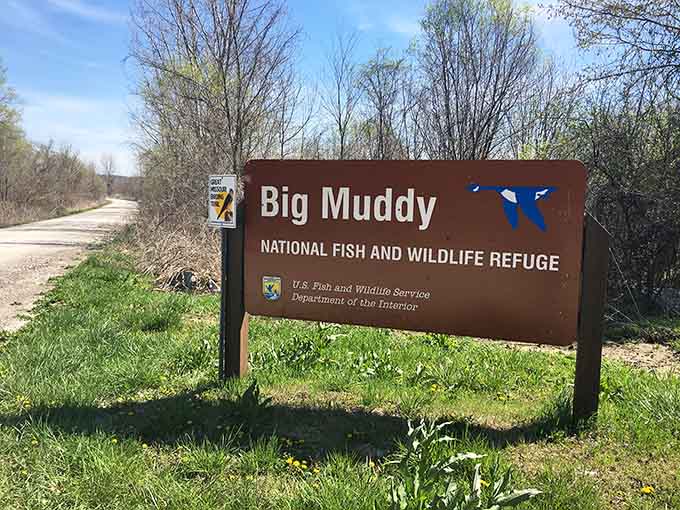 Big Muddy National Fish and Wildlife Refuge offers nature lovers a peaceful escape into Missouri's wild side.