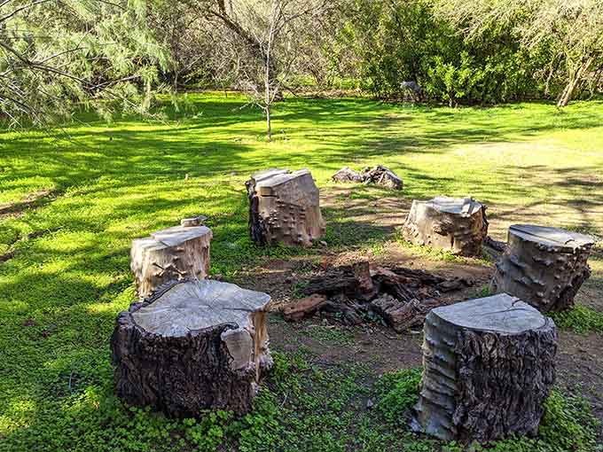 These rustic tree stump seats invite you to rest and contemplate life's big questions, or just your lunch plans.