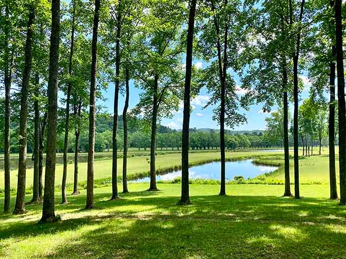 Golf course views framed by trees that have seen more seasons than most streaming services combined.