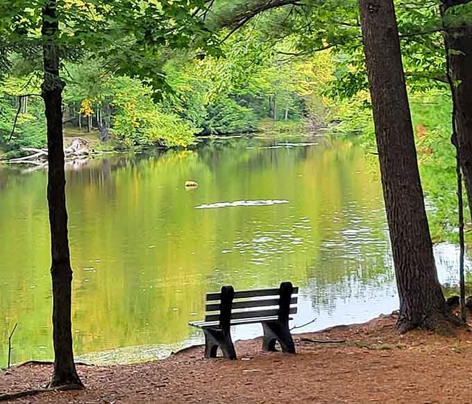 Find a bench, sit a spell, and remember what silence actually sounds like without traffic or notifications.