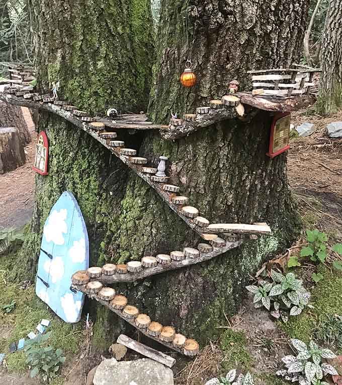 The gnomes built a spiral staircase around this tree, suggesting they have better contractors than most humans can find.