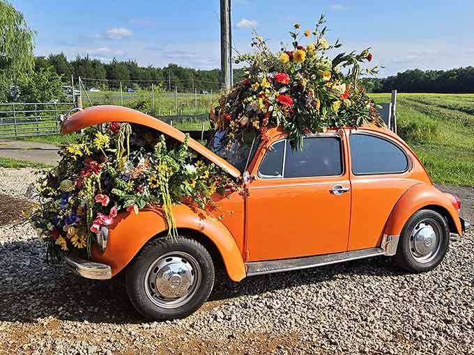 This Volkswagen Beetle is living its absolute best life, covered in more flowers than a wedding reception.