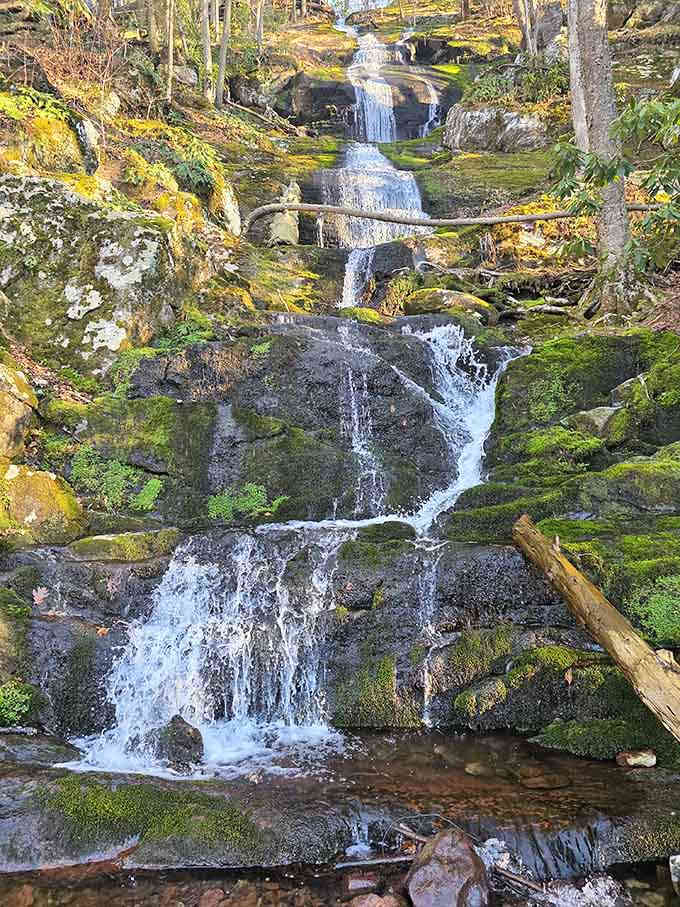 Moss-covered rocks and rushing water combine in nature's perfect recipe for tranquility and natural beauty.
