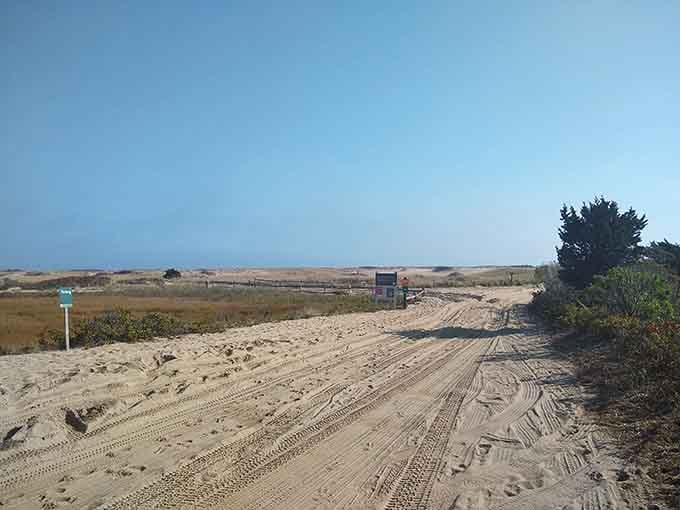 Sandy roads wind through coastal wilderness where civilization politely steps aside and lets the landscape run the show instead.