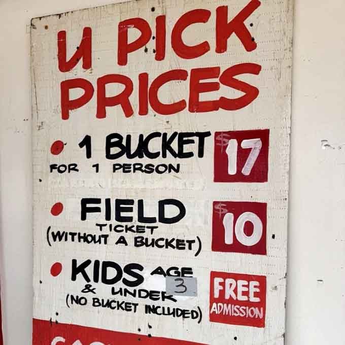 Fair pricing for an unforgettable experience, plus kids under three get free admission because toddlers deserve strawberry happiness too.