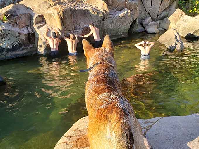 Deep pools between massive boulders invite brave swimmers while shallow spots keep the little ones safely entertained for hours.