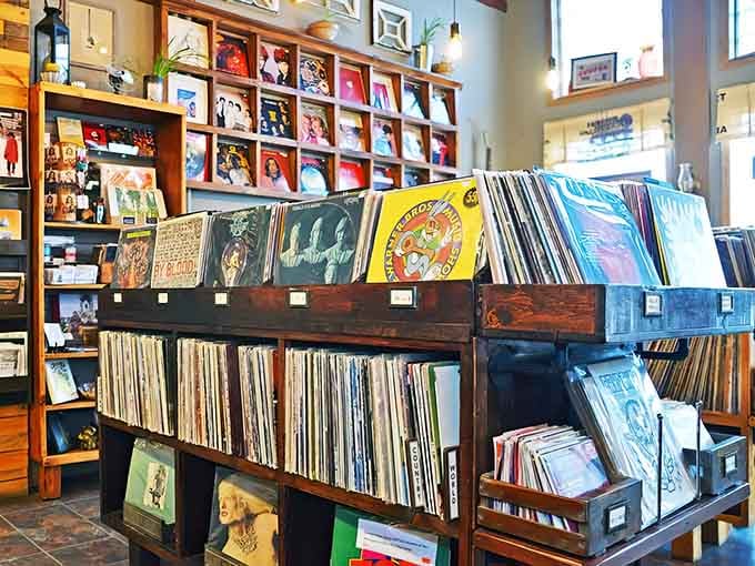 Rows of carefully curated vinyl waiting to soundtrack your life, from classic albums to hidden musical gems.