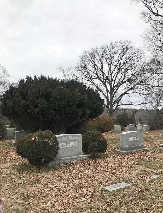 Fallen leaves carpet the ground between family plots, nature's way of honoring those who rest beneath them.