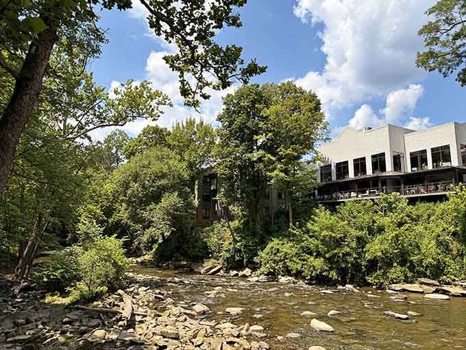 Lush greenery surrounds the falls in summer, creating a natural amphitheater for the river's endless performance.