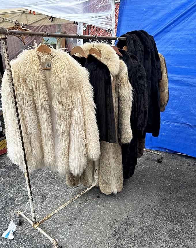 Fur coats from another era wait patiently for their next adventure, channeling old Hollywood glamour minus the scandal.