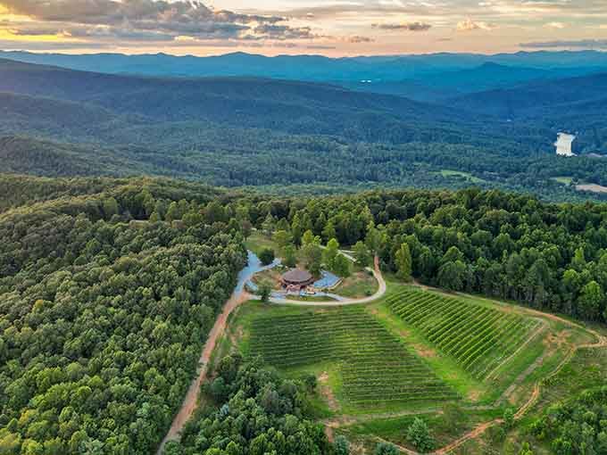Vineyard rows stretch across hillsides, proving Georgia grows more than just peaches and produces surprisingly excellent wines too.