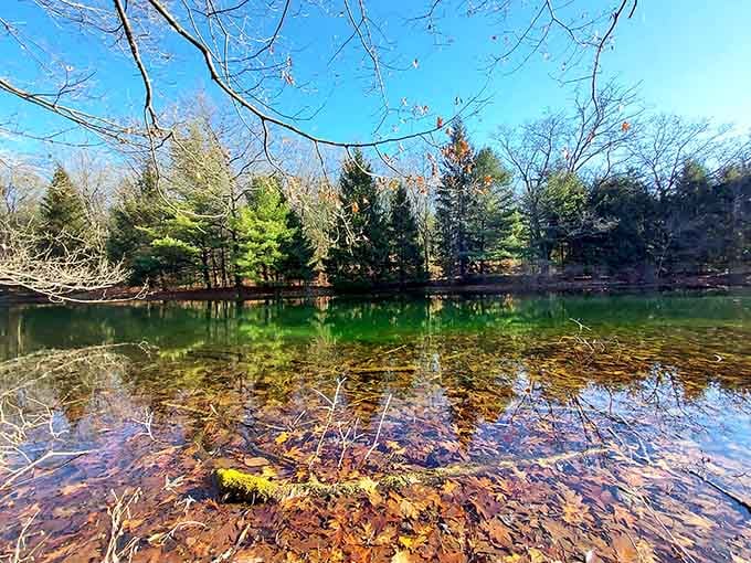 Crystal waters reveal every pebble below, proving Michigan's natural filtration system works perfectly here.