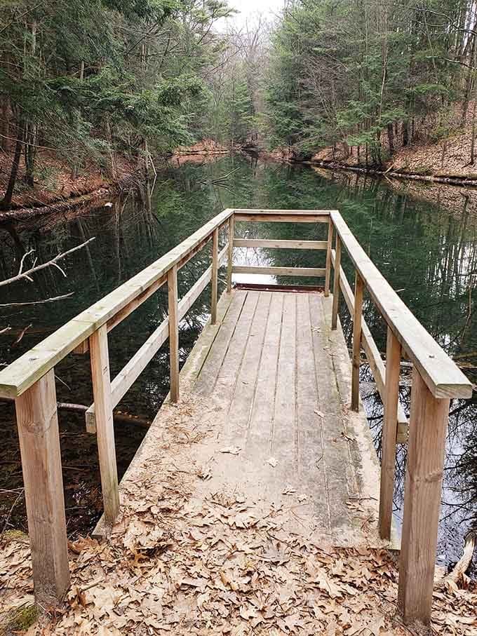 A wooden deck offering front-row seats to nature's greatest show, no ticket required for admission.
