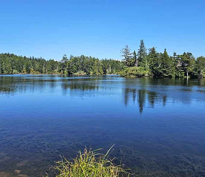 Empire Lake's serene waters provide free meditation sessions disguised as casual afternoon walks.