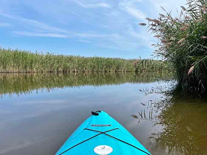 Kayaking these calm waters offers front-row seats to nature's show, starring egrets, fish, and spectacular silence.