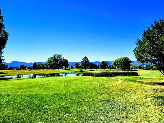 Conquistador Golf Course delivers mountain views and affordable greens fees that won't require refinancing your retirement home.