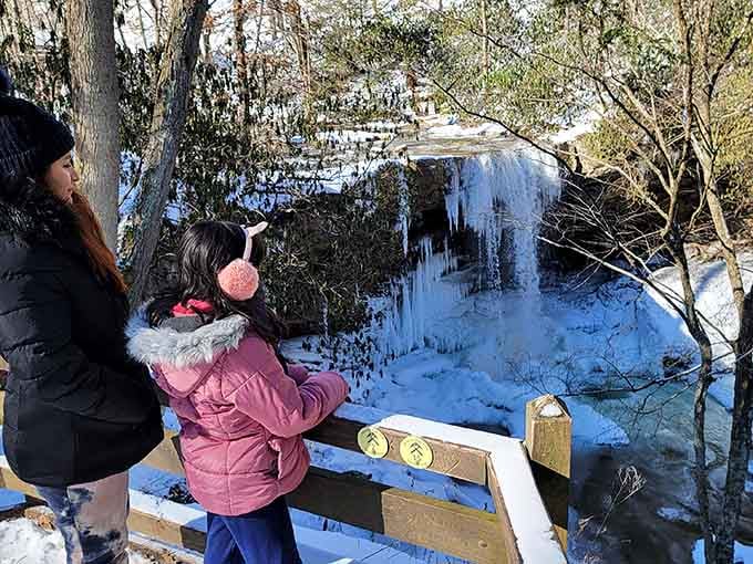 Winter transforms the falls into a frozen sculpture garden that would make any artist jealous.