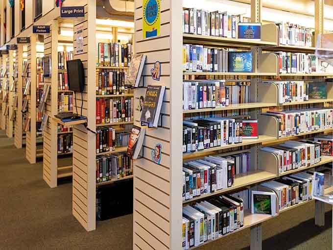 Library shelves packed tighter than your grandmother's recipe box, holding stories that don't require charging cables or WiFi passwords.