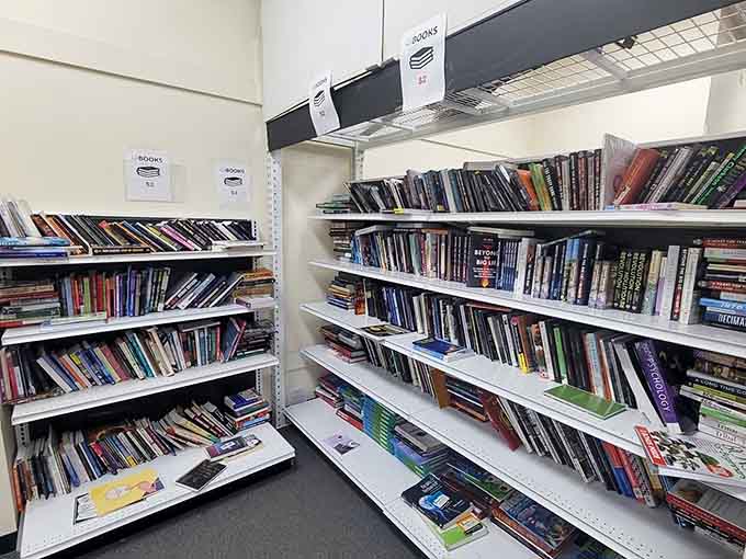 Books lined up like a library sale, because reading shouldn't require choosing between literature and paying your electric bill.