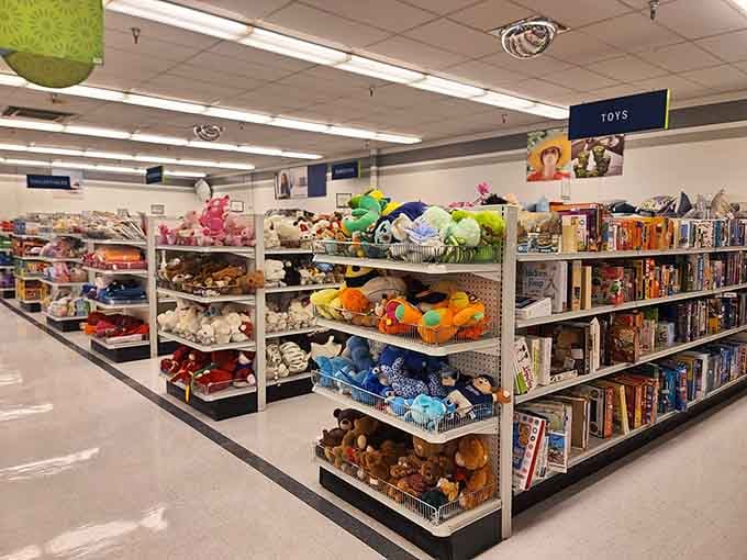 Stuffed animals and toys prove that playtime doesn't end just because the original owner grew up.